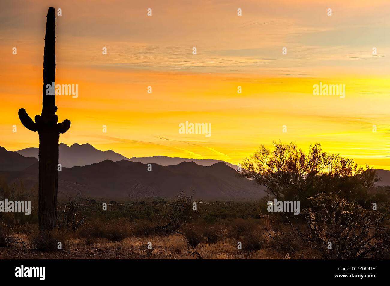 Red mountain phoenix arizona hi-res stock photography and images - Alamy
