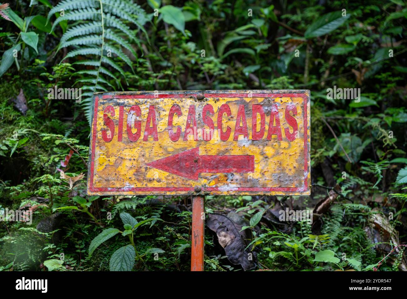 Weathered old metal sign directing tourists to waterfalls in the mindo ...