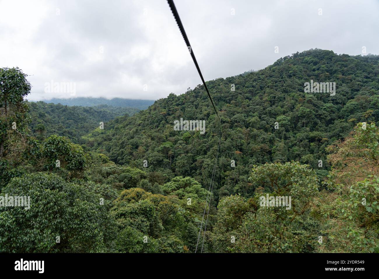 Cable jungle hi-res stock photography and images - Alamy