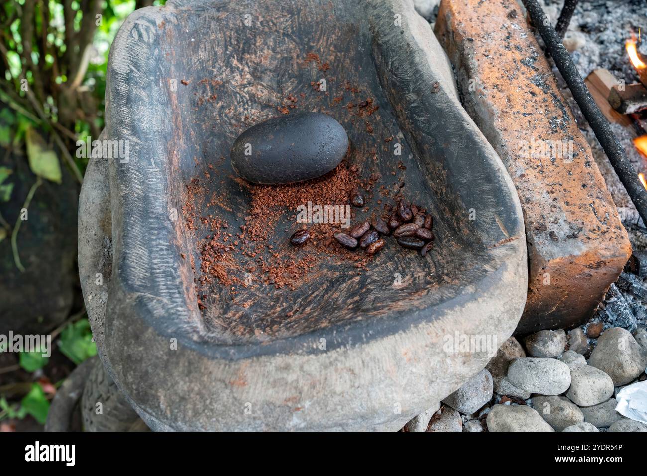 Roasted cacao beans ground into cocoa powder with a rudimentary mortar ...