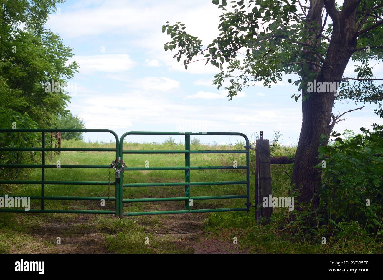 metal gate leading to an open pasture Stock Photo - Alamy