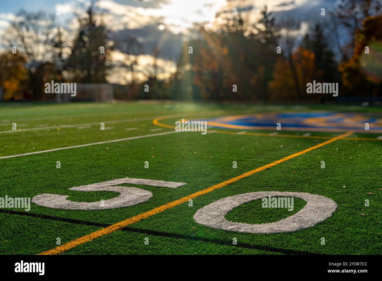 Synthetic turf football 50 yard line, block number, in white along with ...