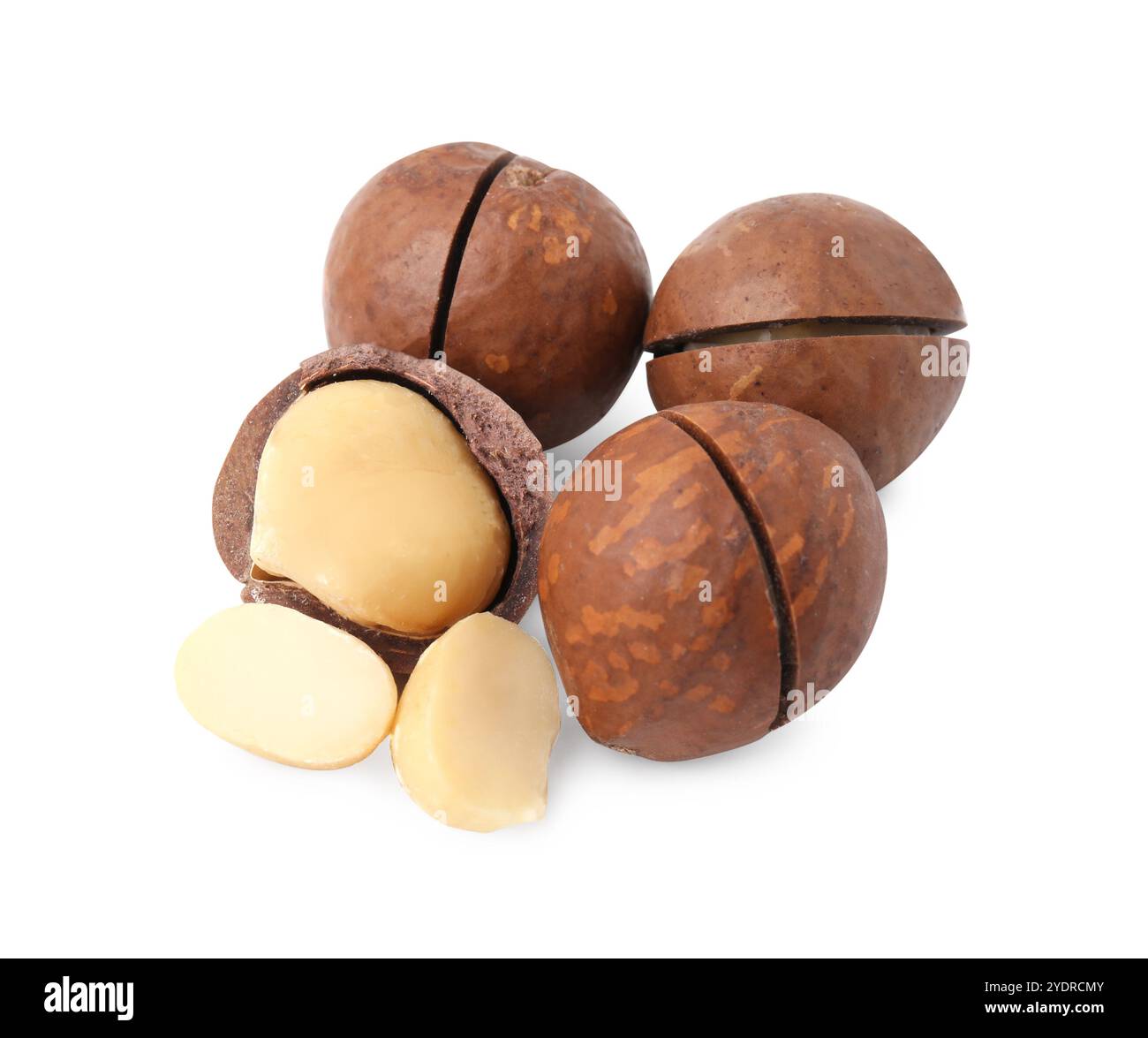 Macadamia nuts with shells isolated on white Stock Photo - Alamy