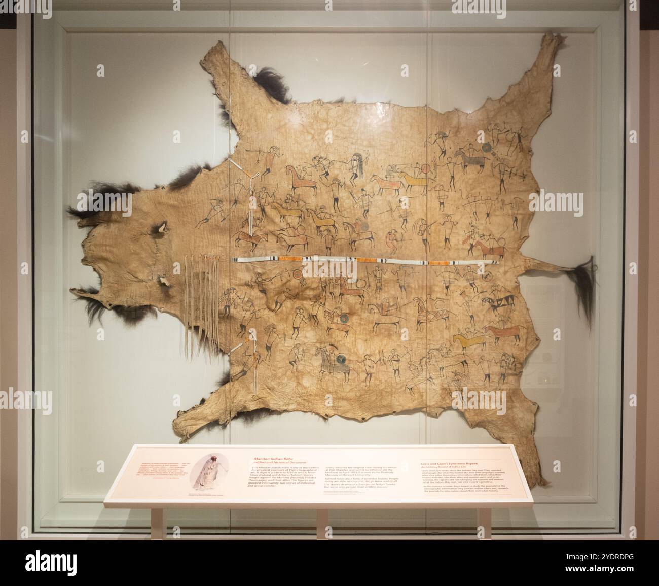 Mandan Indian robe on a bison hide with artwork depicting battles. Robe ...