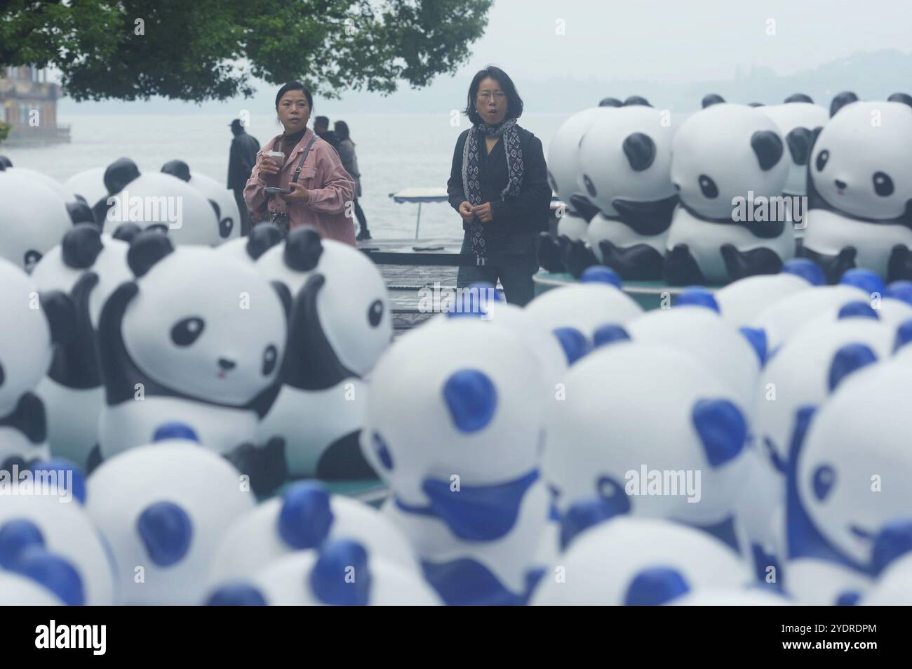 HANGZHOU, CHINA - OCTOBER 28, 2024 - Visitors look at an art ...