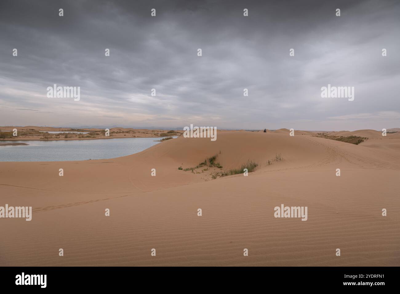 Gobi desert and the river near Wuhai, Inner Mongolia, China. Unique ...