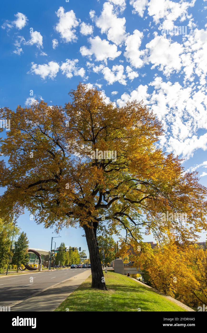 Denver Cityscape with the fall trees near Cherry Creek and the Denver ...