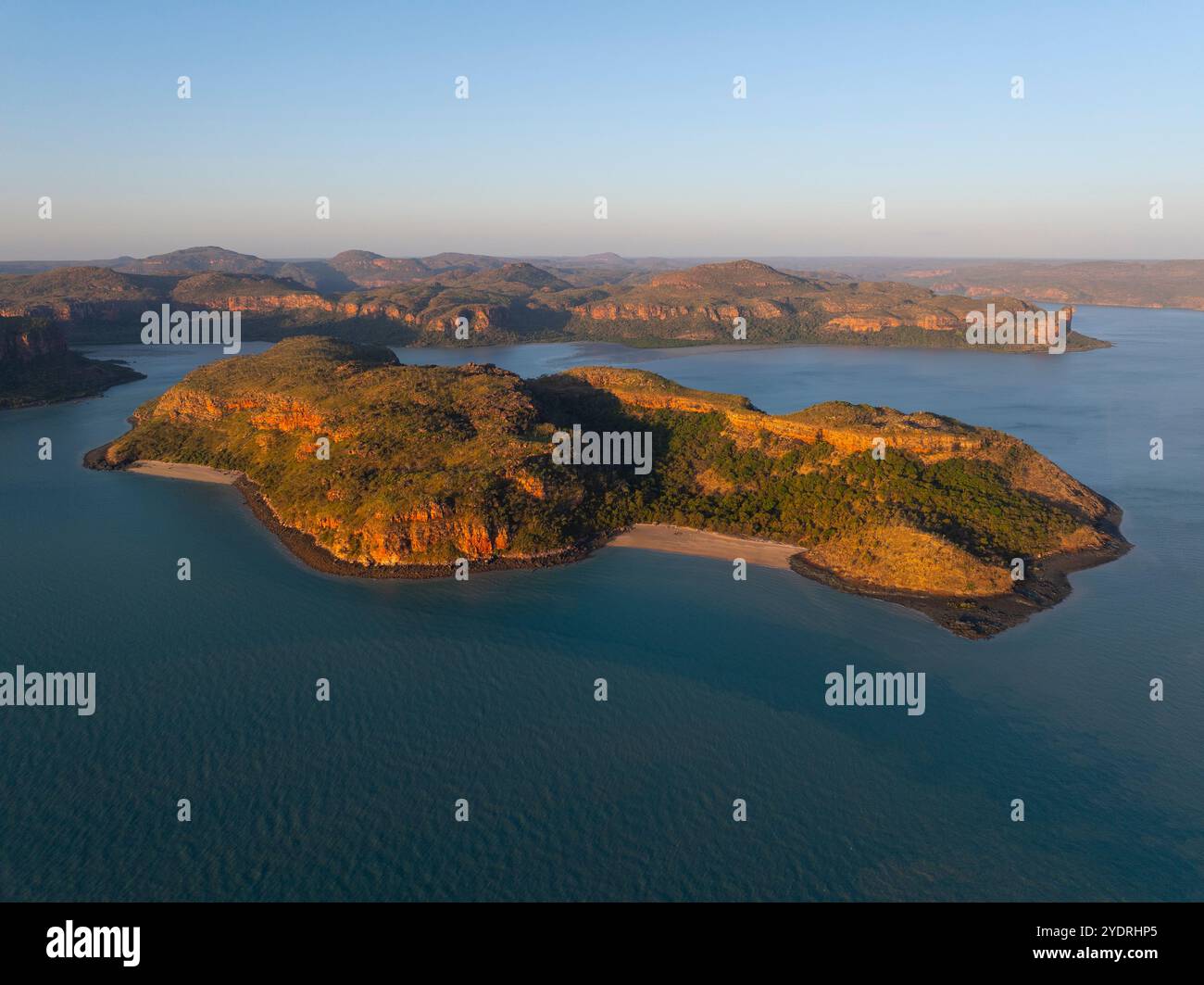 Naturalists hi-res stock photography and images - Alamy