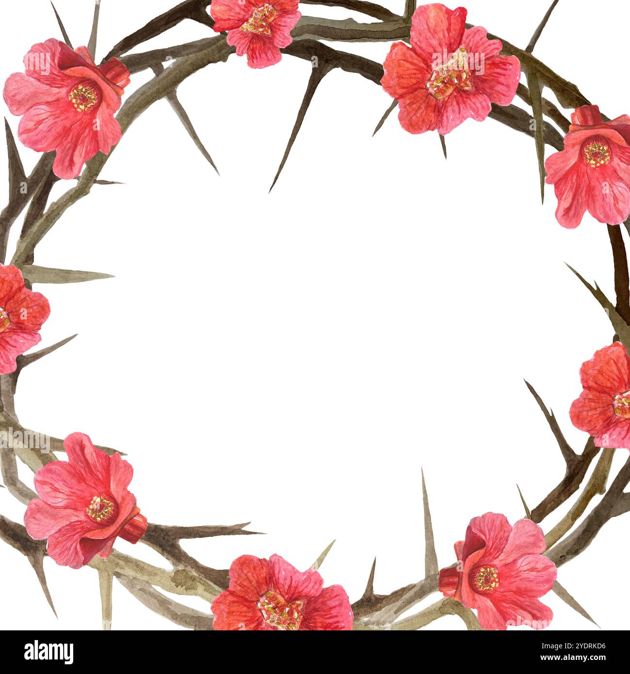 Crown of thorns with red flowers watercolor illustration isolated on ...