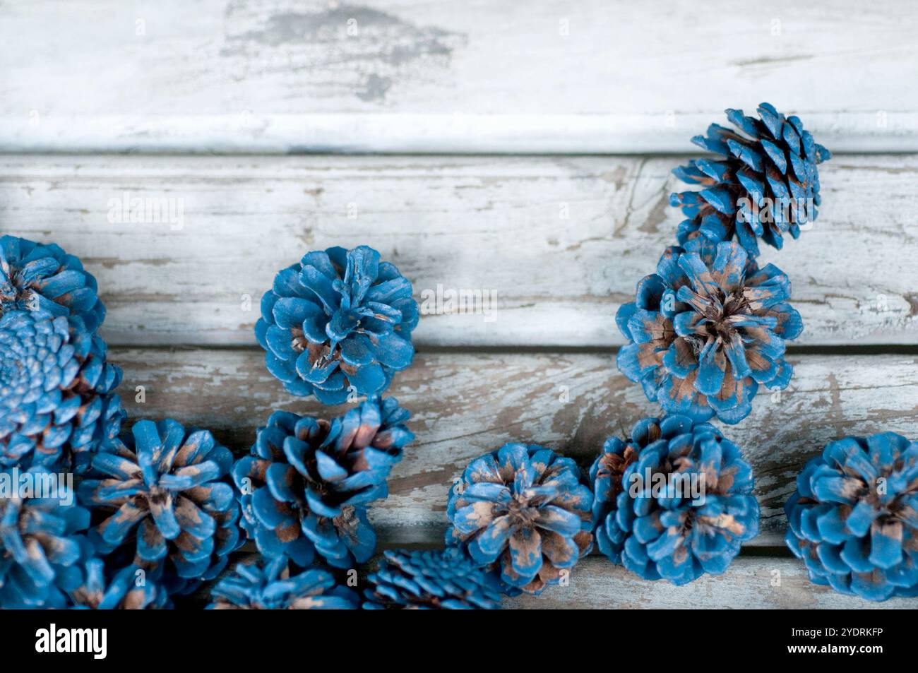 Paint pine cone hi-res stock photography and images - Alamy