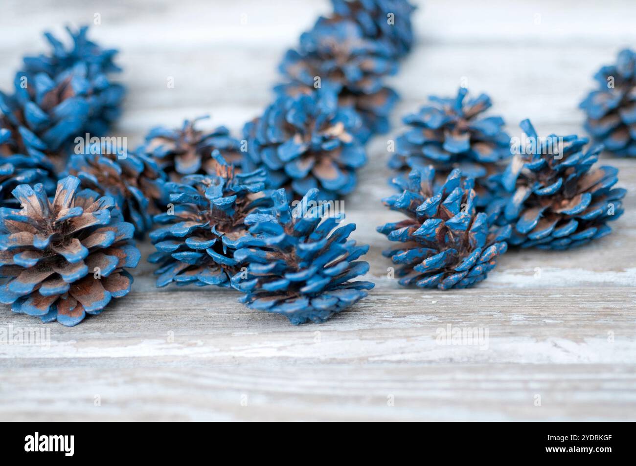 Paint pine cone hi-res stock photography and images - Alamy