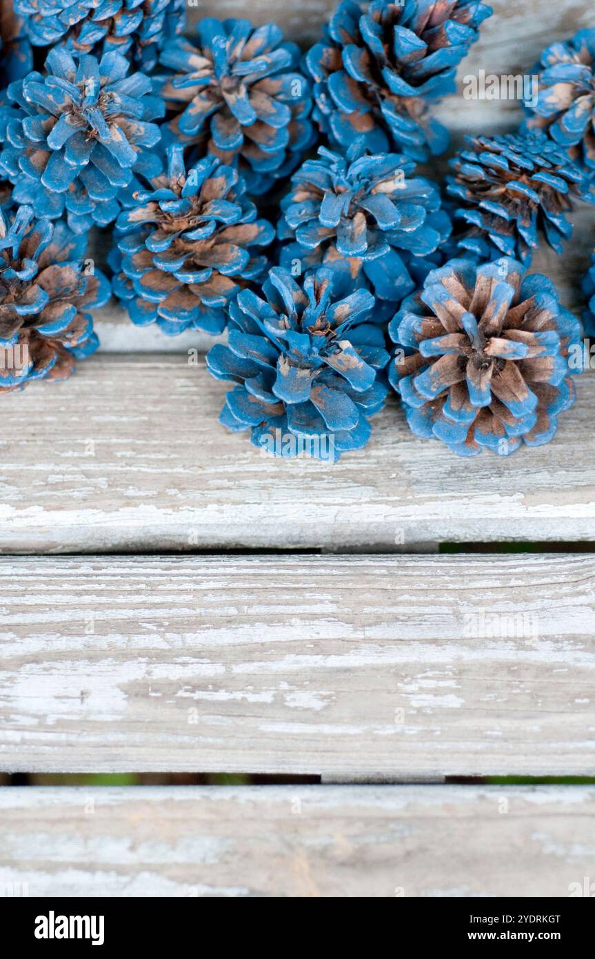 Paint pine hi-res stock photography and images - Alamy