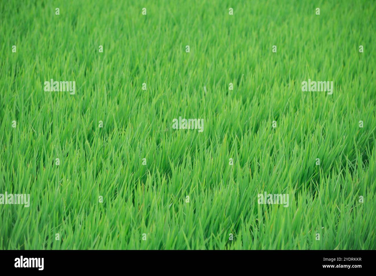 Primary sector economy hi-res stock photography and images - Alamy
