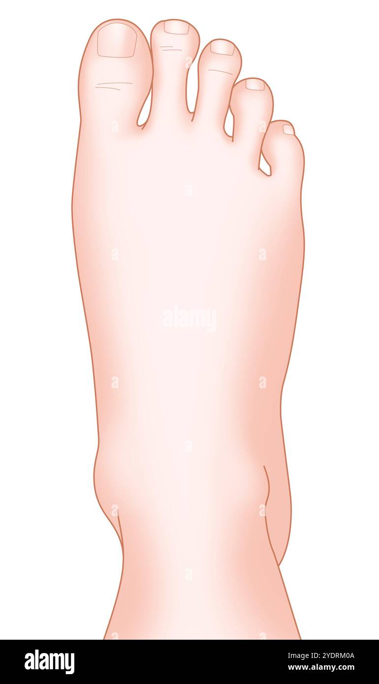 Instep of foot Stock Photo - Alamy