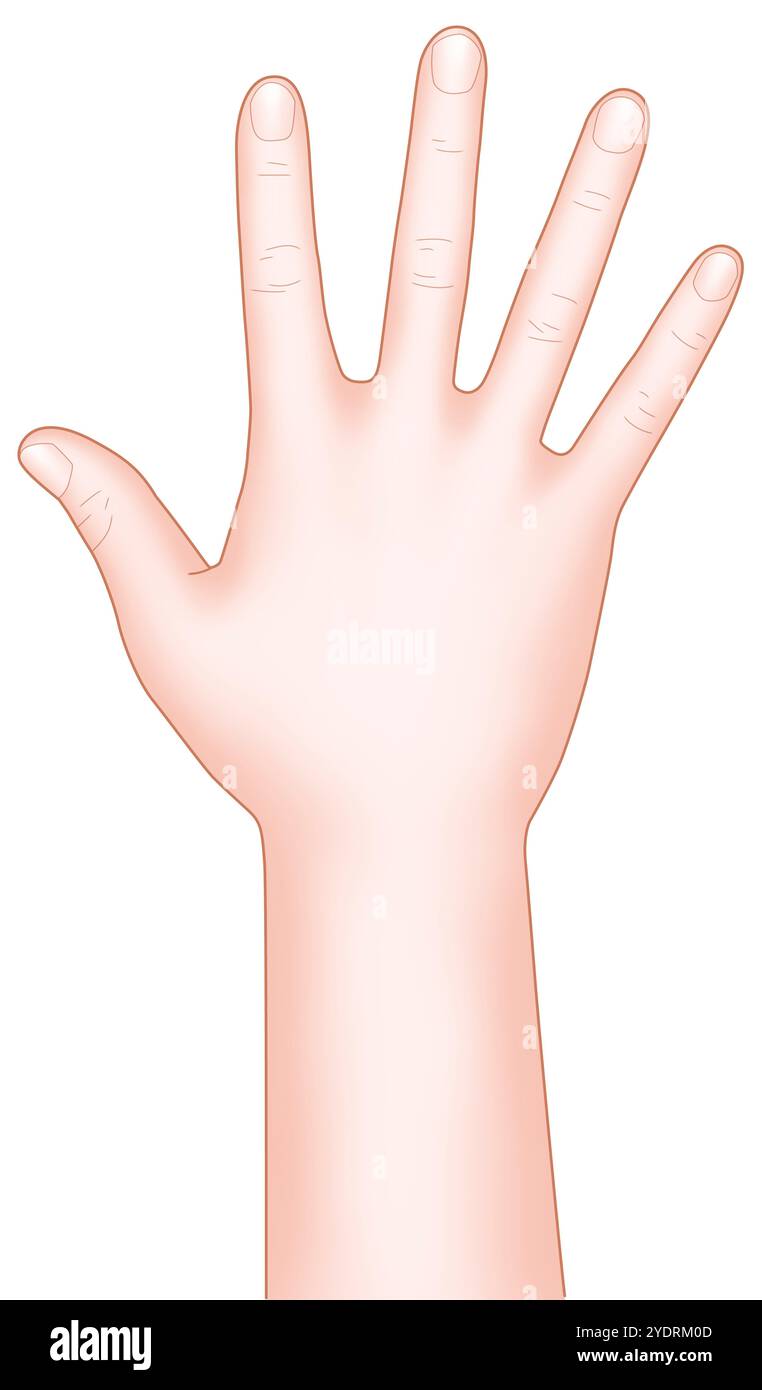 Hand medical scissors hi-res stock photography and images - Alamy