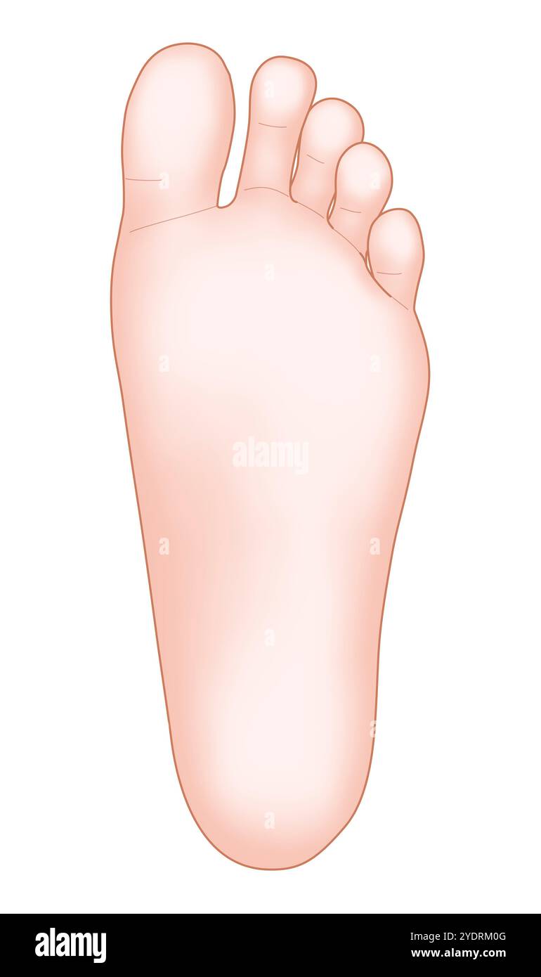 Soles of feet Stock Photo - Alamy