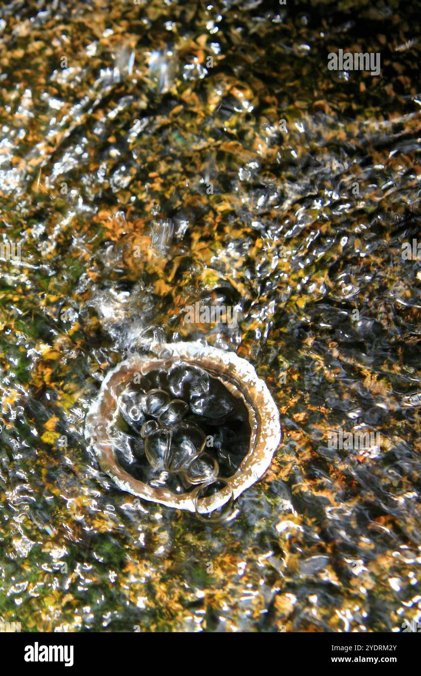 Drainage outlets hi-res stock photography and images - Alamy