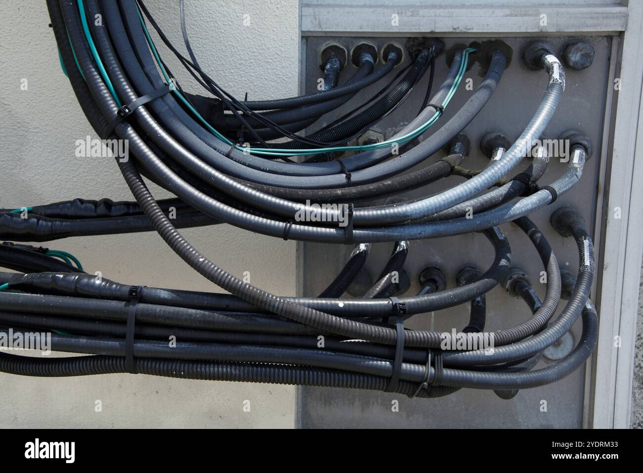 Bundles of power transmission lines Stock Photo - Alamy