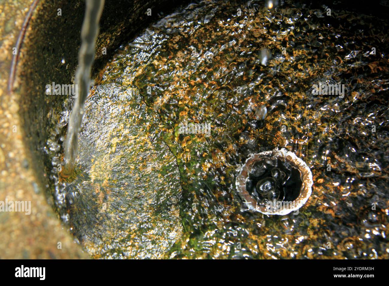 Drainage outlet hi-res stock photography and images - Alamy