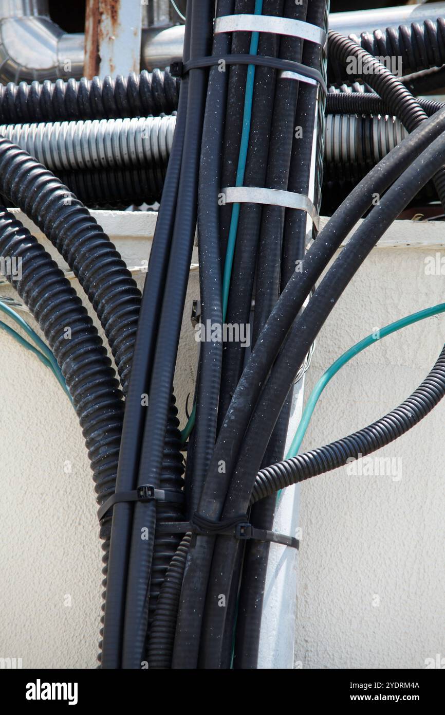 Bundles of power transmission lines Stock Photo - Alamy