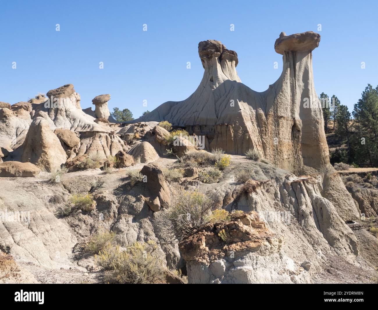 The Twin Sisters hoodoo rock formations in Makoshika State Park in ...