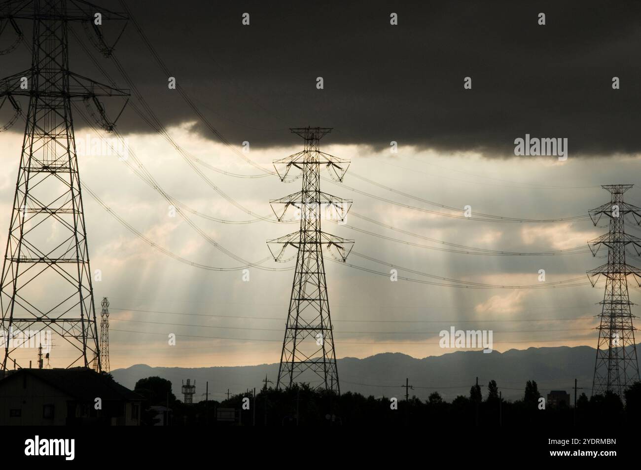 Empty aluminum cans hi-res stock photography and images - Alamy