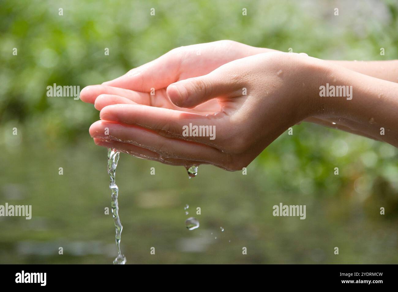 Hand scooping water Stock Photo - Alamy