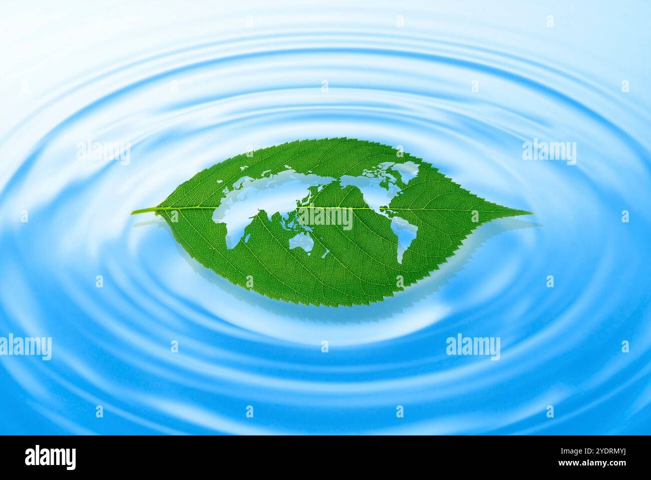 World map in leaf Stock Photo - Alamy