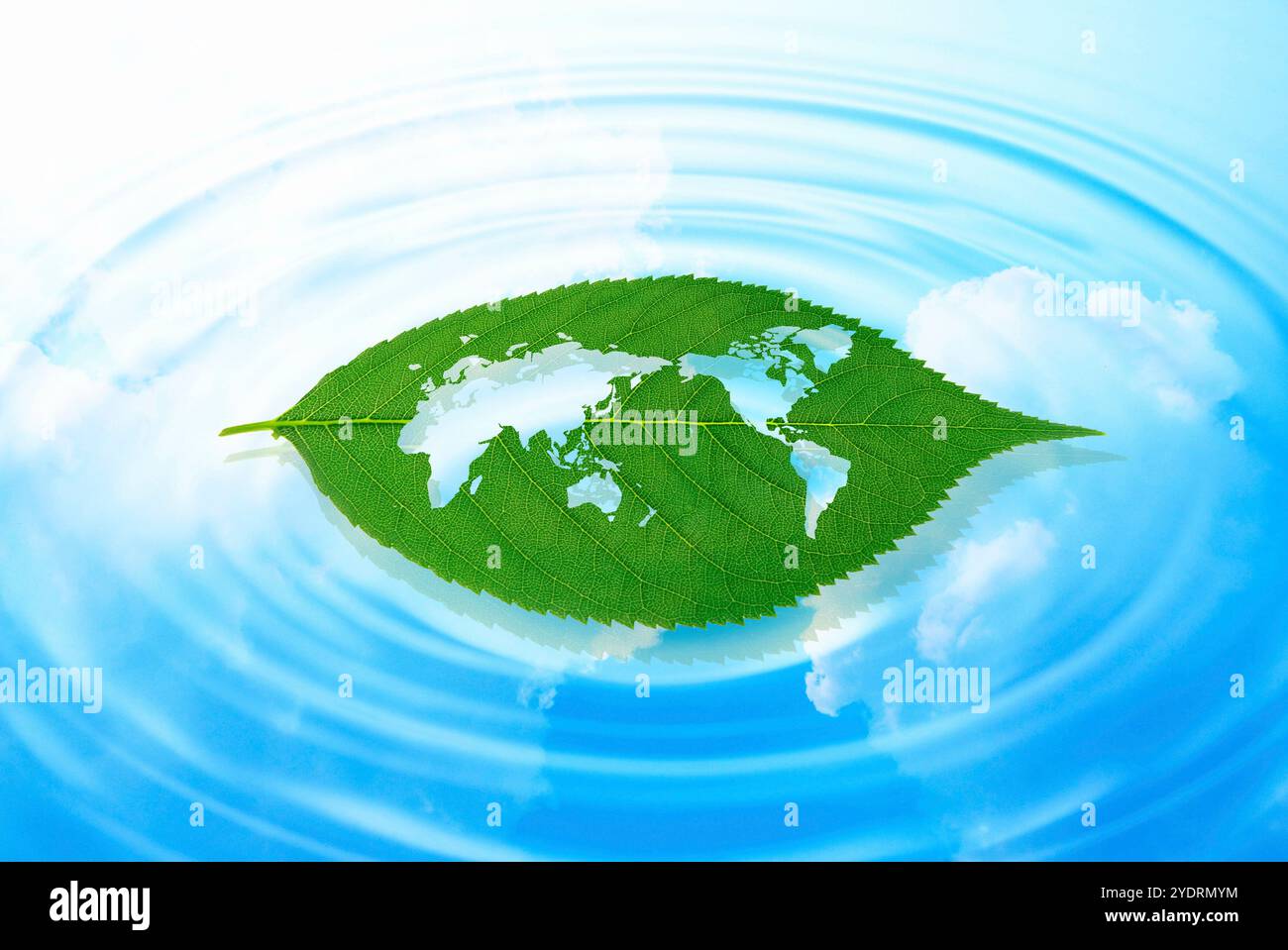 World map in leaf Stock Photo - Alamy