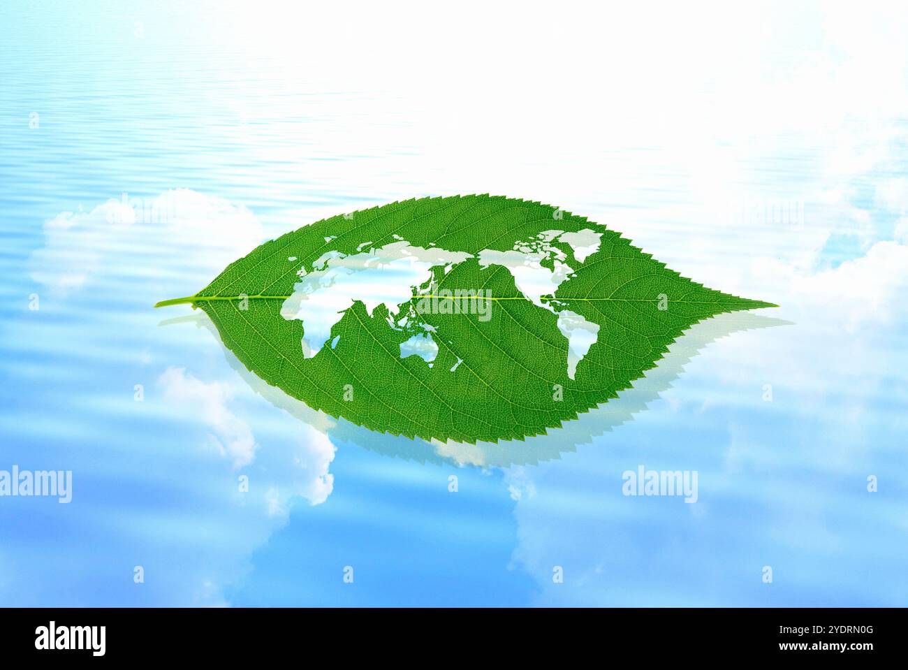 World map in leaf Stock Photo - Alamy