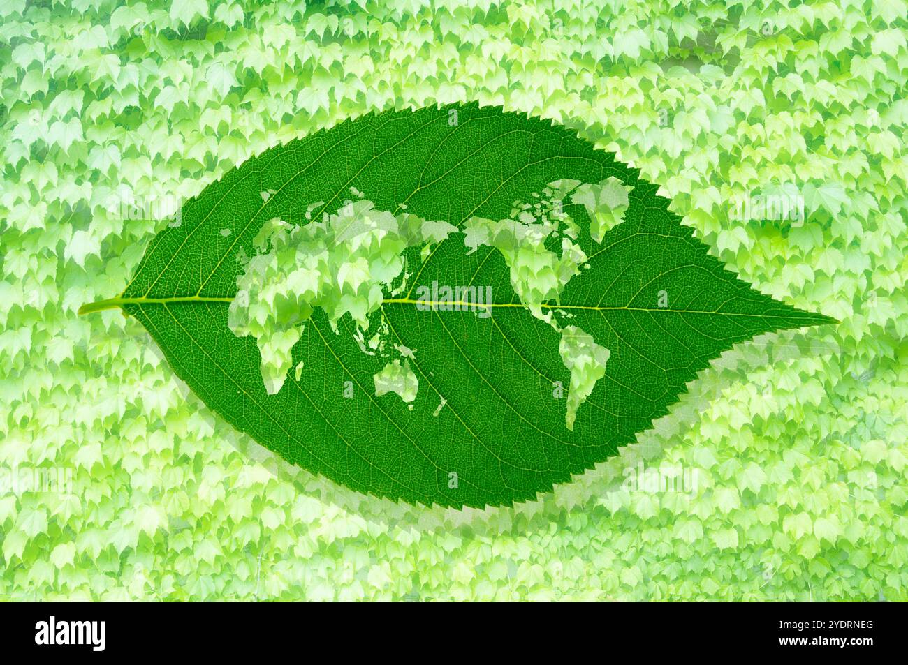 Leaf and world map Stock Photo - Alamy