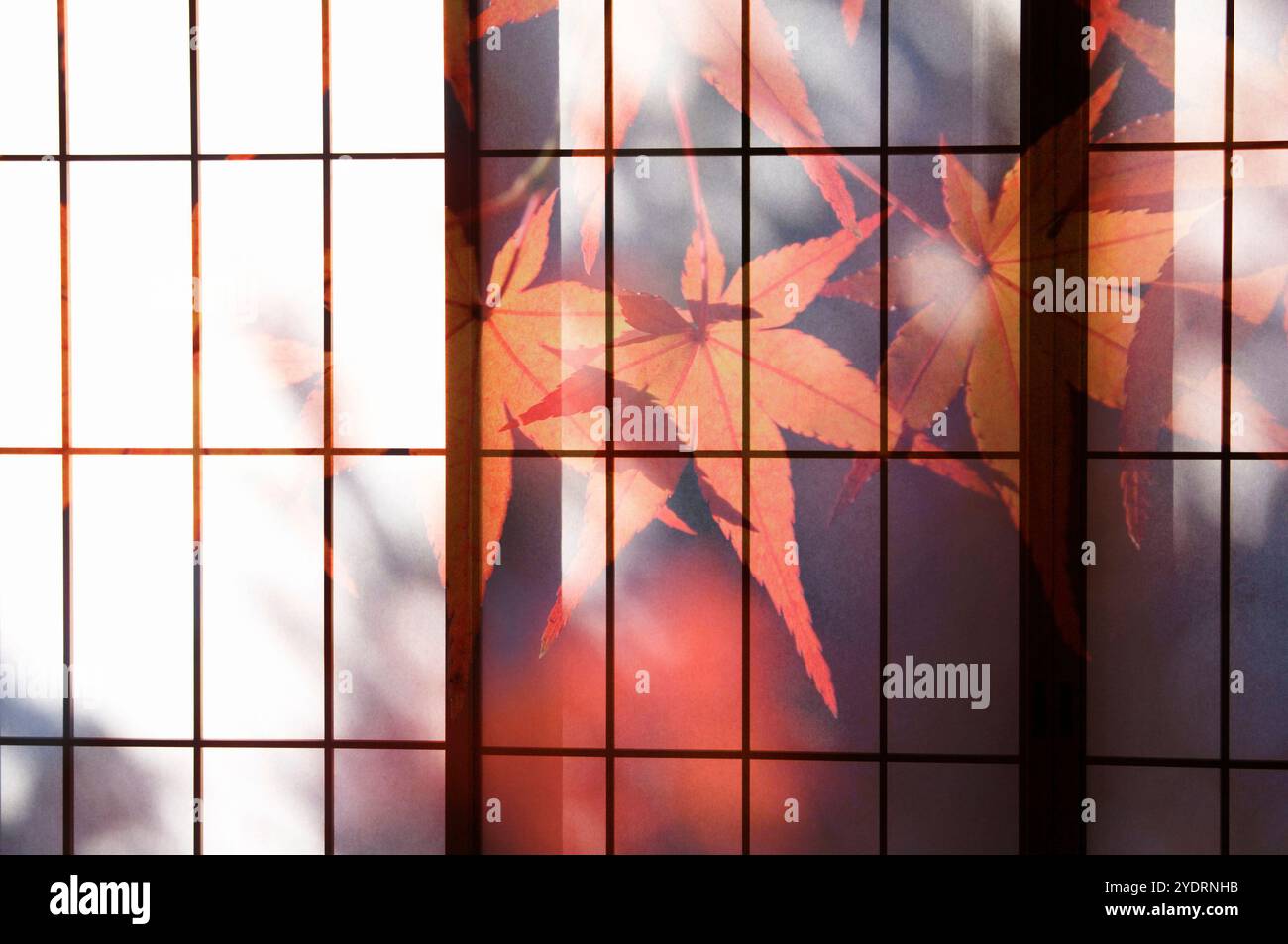 Shoji and maple Stock Photo - Alamy