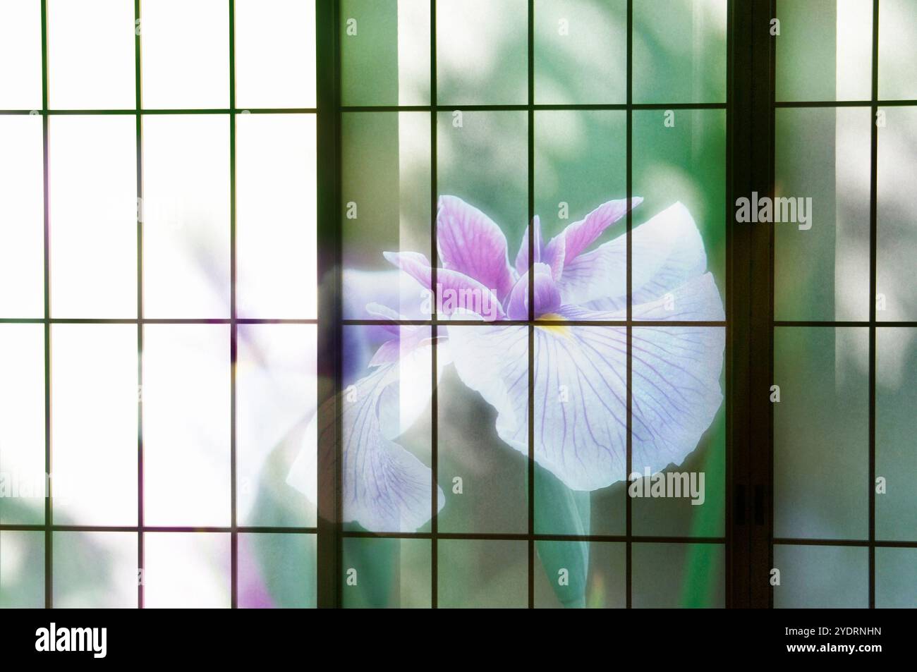 Iris material hi-res stock photography and images - Alamy