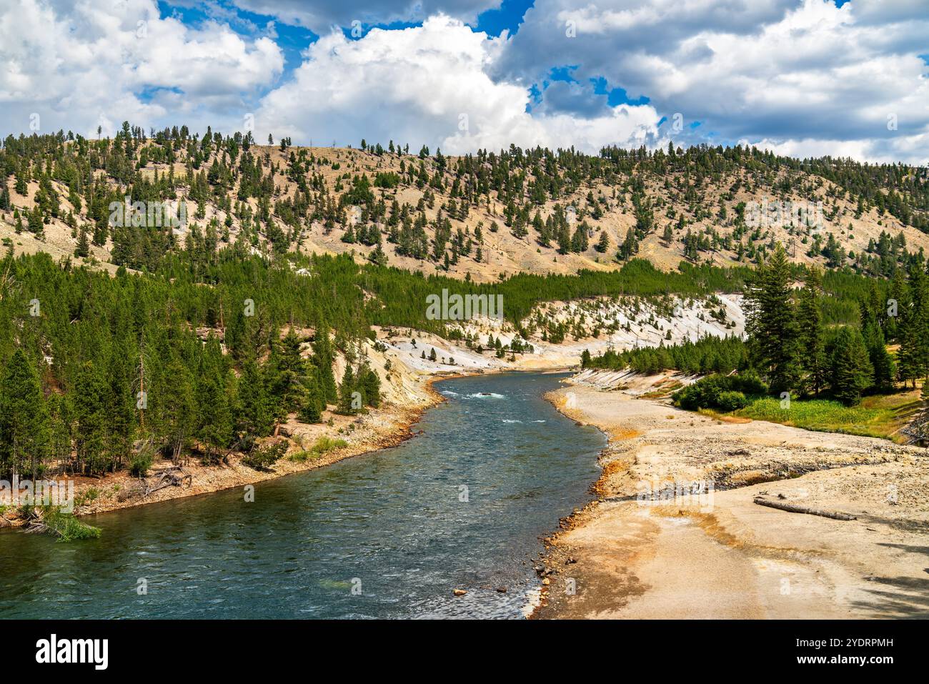 The Iconic Yellowstone River Flowing Through Yellowstone National Park ...