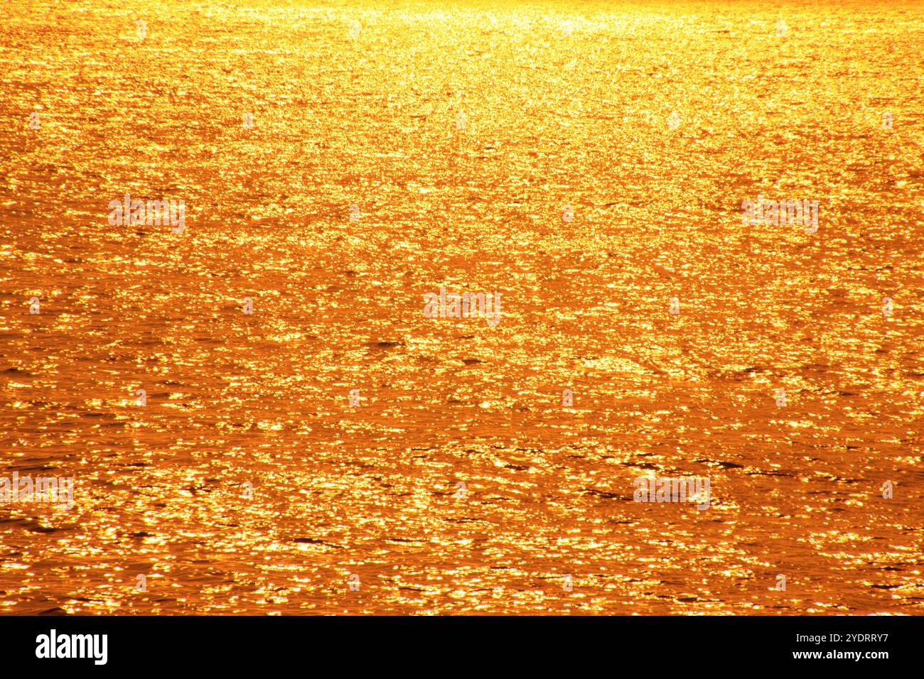 Kagoshima line hi-res stock photography and images - Alamy