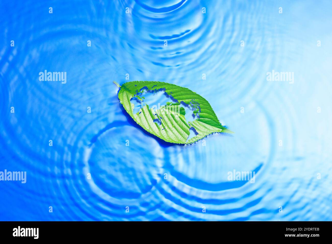 Leaf map hi-res stock photography and images - Alamy