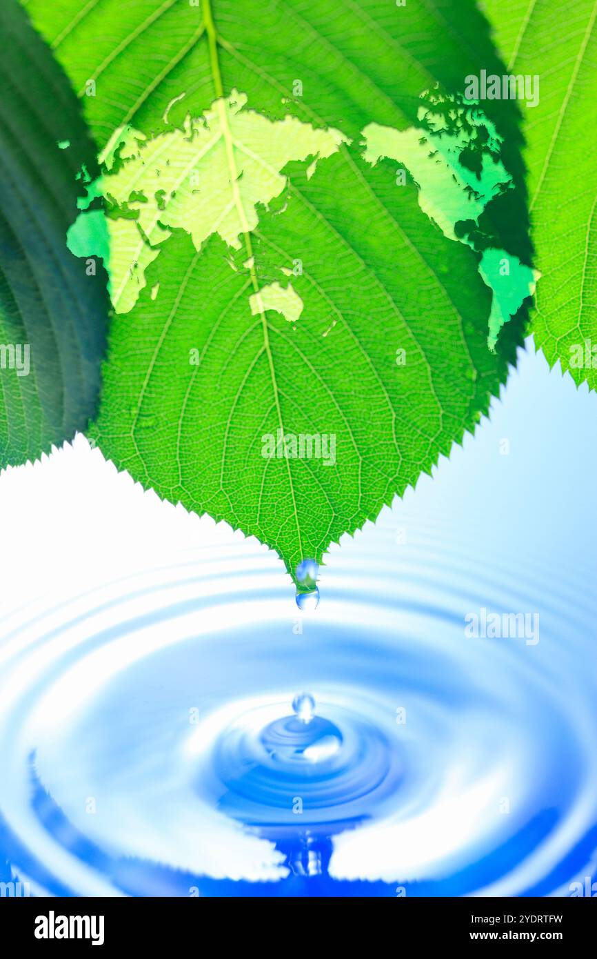 Leaf, map and ripple Stock Photo - Alamy