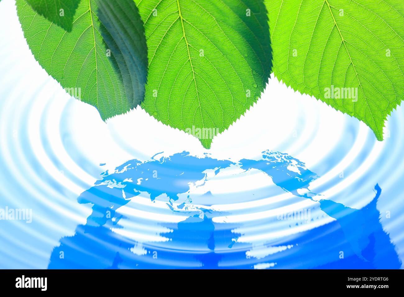 Leaf, map and ripple Stock Photo - Alamy