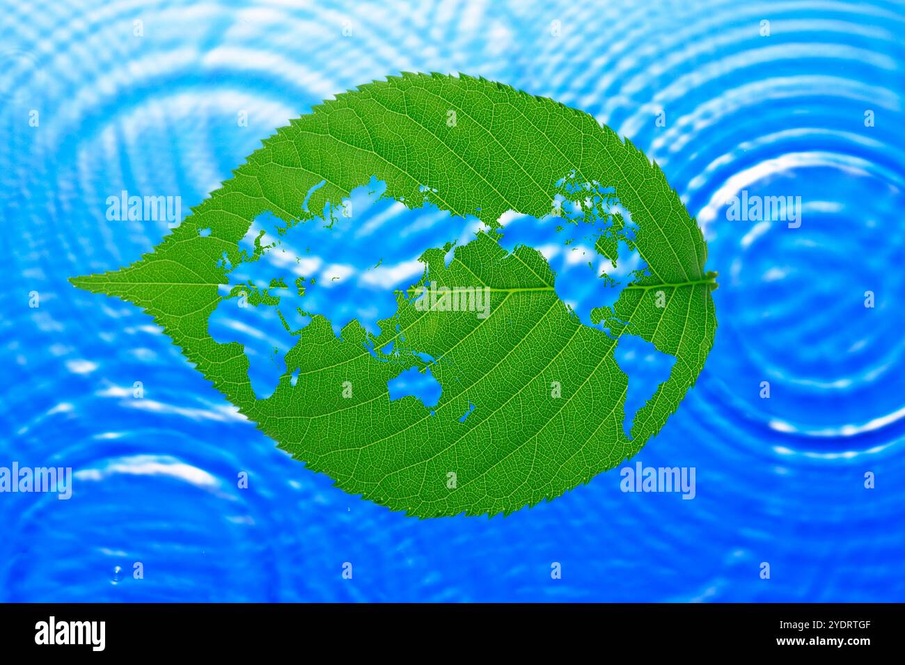Leaf, map and ripple Stock Photo - Alamy