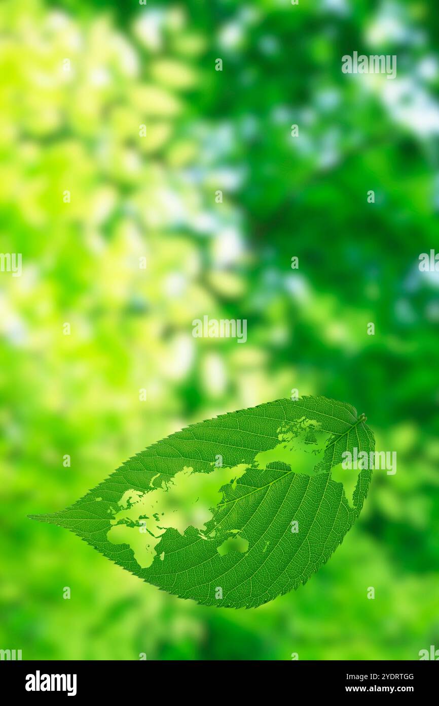 Leaf and map Stock Photo - Alamy