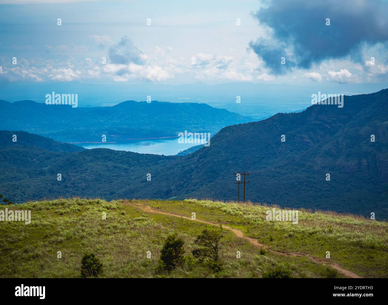 Panoramic landscapes green forest hi-res stock photography and images - Alamy