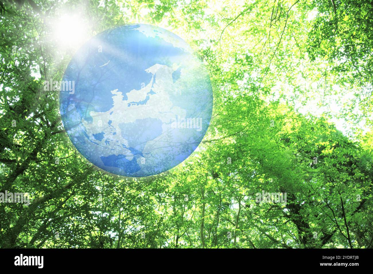 Map of forests hi-res stock photography and images - Alamy