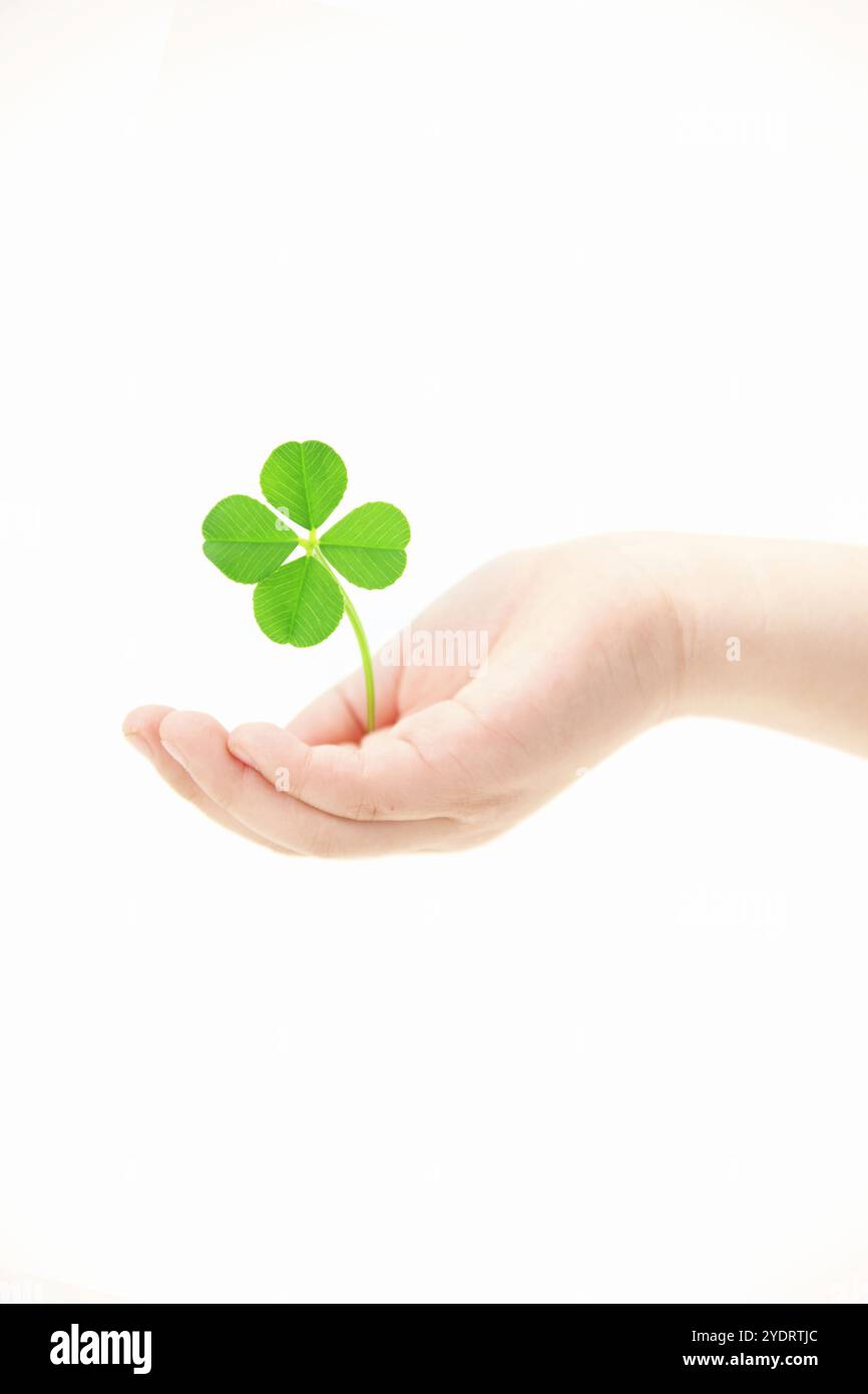 Hand and four-leaf clover Stock Photo - Alamy