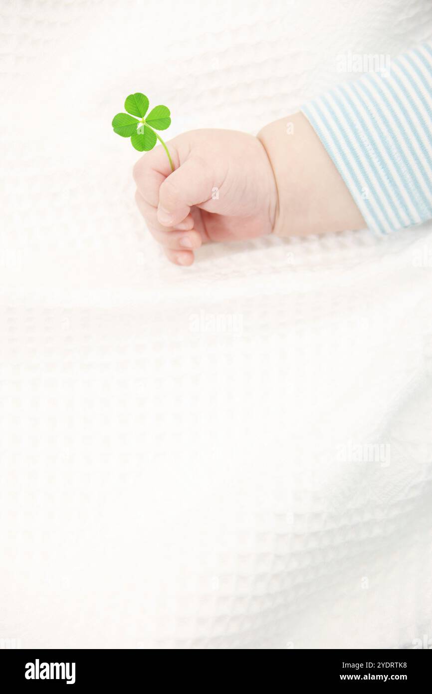 Baby's hands and four-leaf clover Stock Photo - Alamy