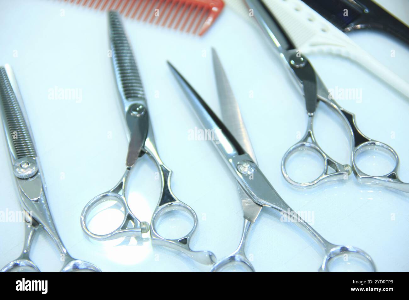 Cut salon image Stock Photo - Alamy