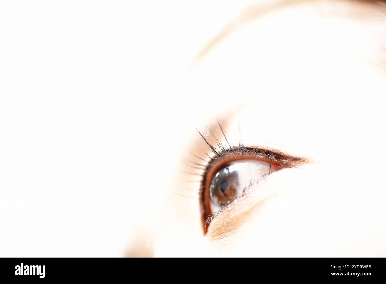 Womans eyelashes hi-res stock photography and images - Alamy
