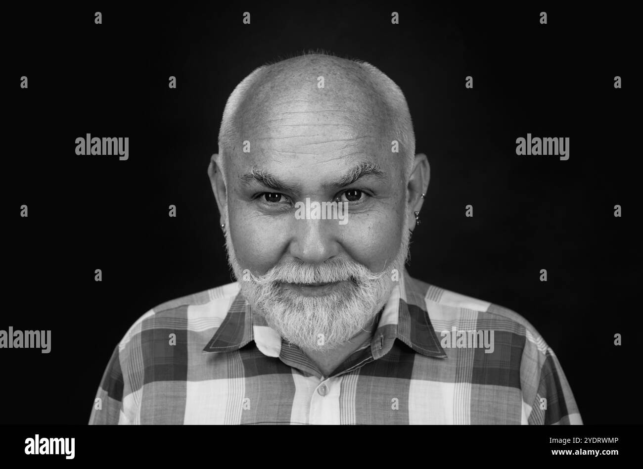 Portrait of an bald old mature senior man with grey beard on black studio background. Older ...