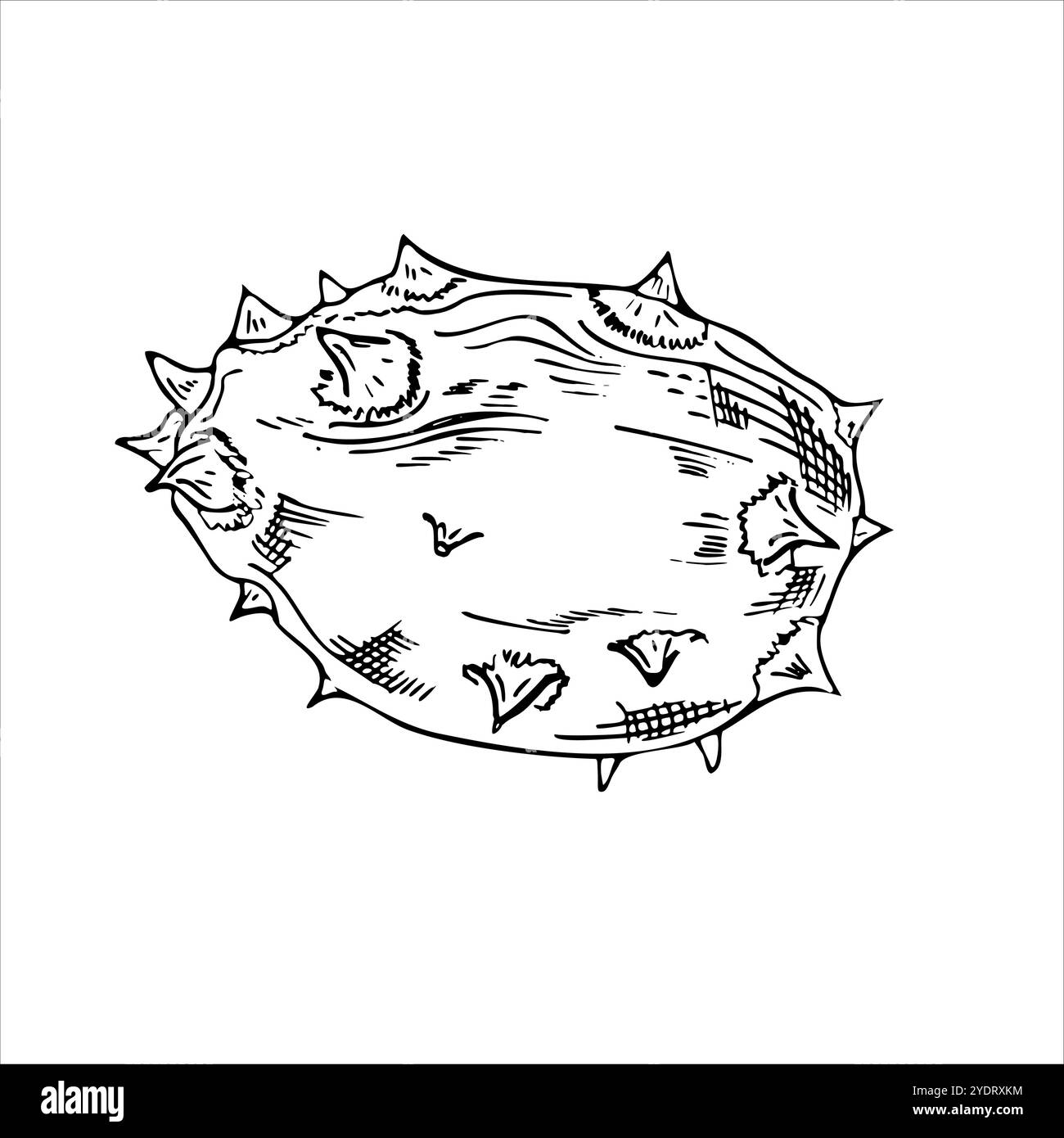 Spiked whole kiwano melon fruit vector isolated illustration painted by ...