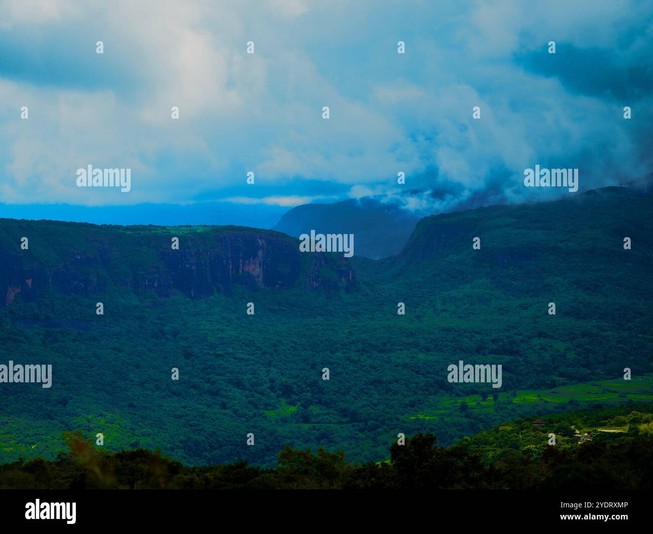 Panoramic landscapes green forest hi-res stock photography and images - Alamy