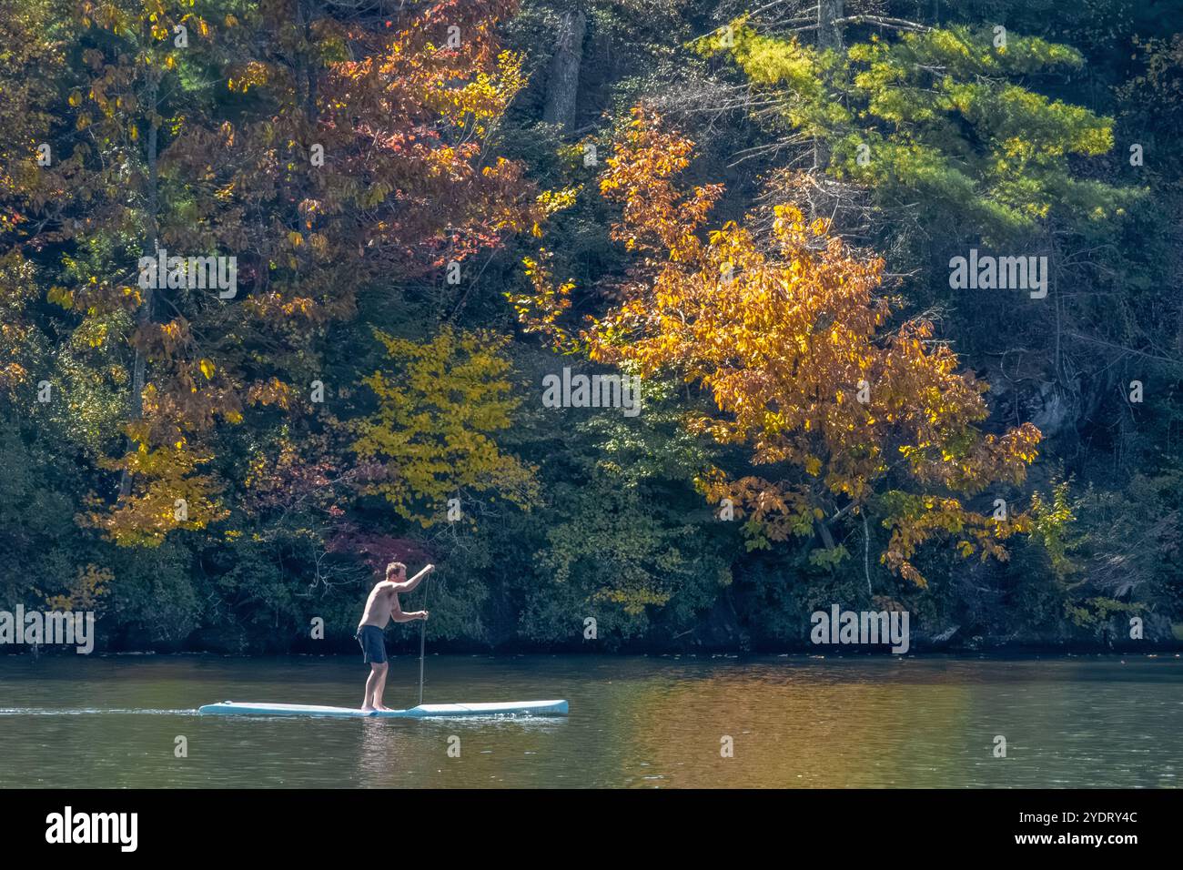 Tallulah falls lake paddleboarder hi-res stock photography and images ...